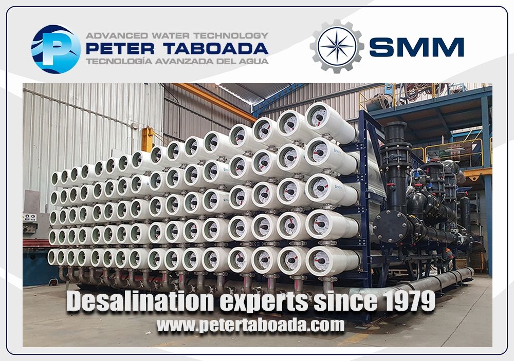 PETER TABOADA at SMM 2024 | Peter Taboada